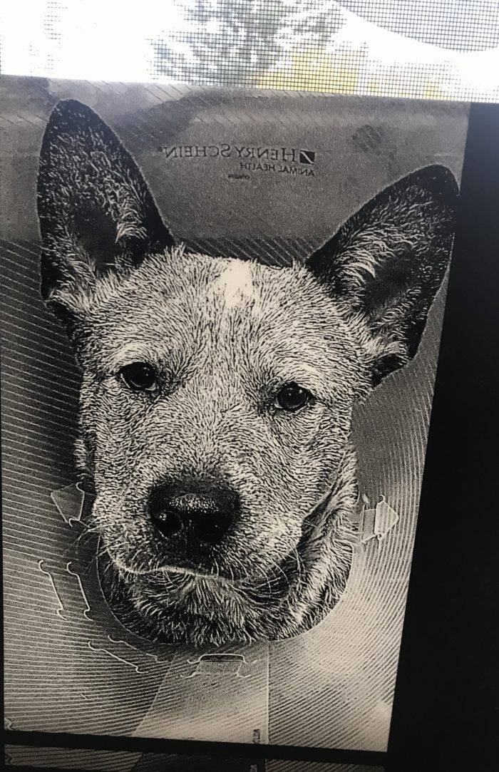 Laser Engraved Photos Custom Etched Photo Acrylic laser-engraved-photos-custom-etched-photo-acrylic
