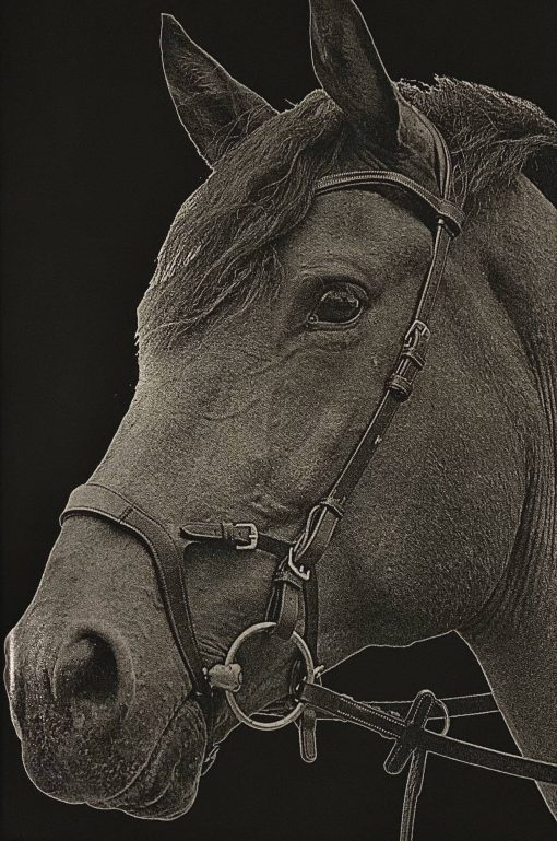 Infinite Laser - Home of Da Big Gimping Plugin - The Original Dude With ...