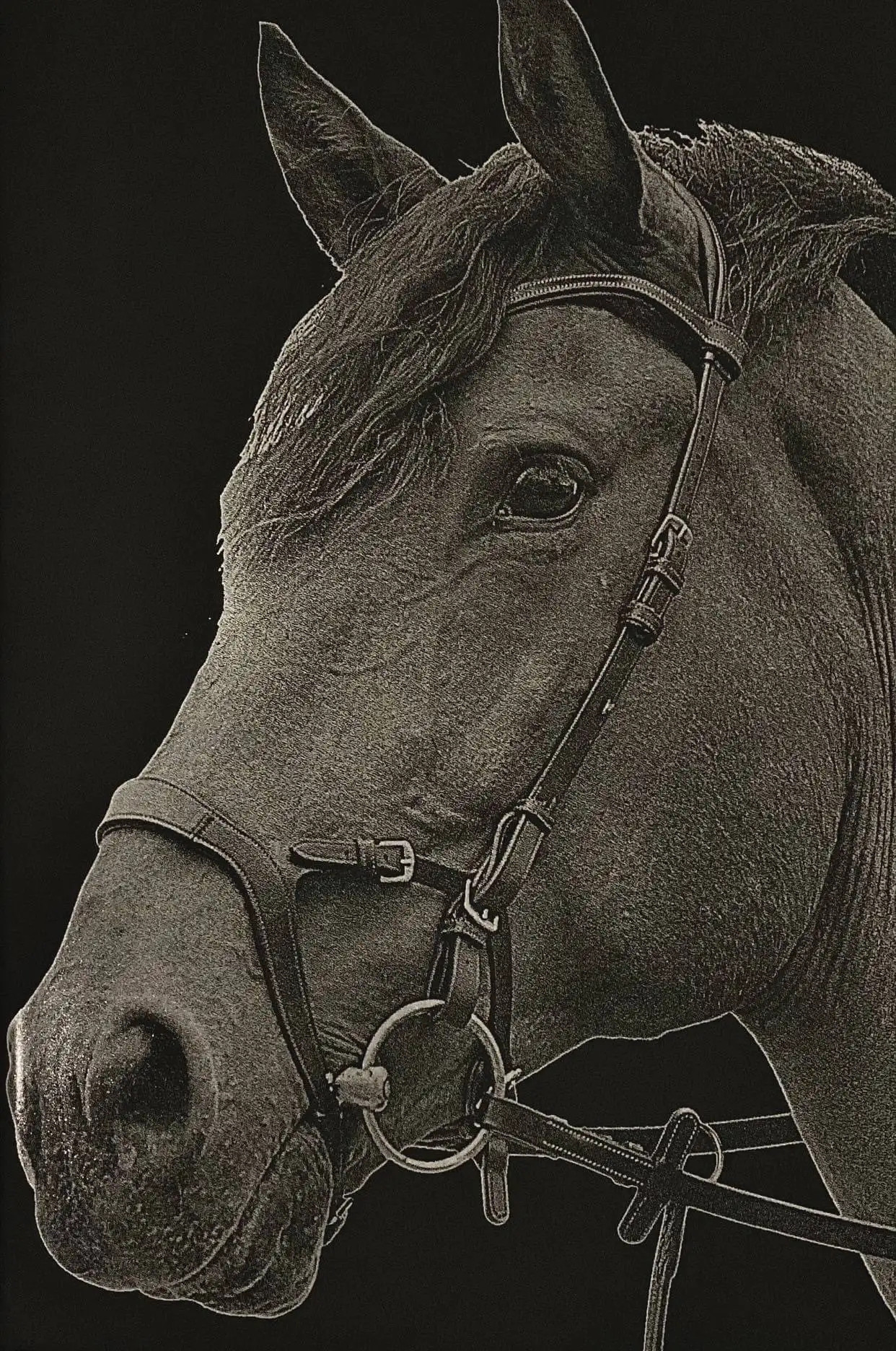 Infinite Laser - Home of Da Big Gimping Plugin - The Original Dude With ...