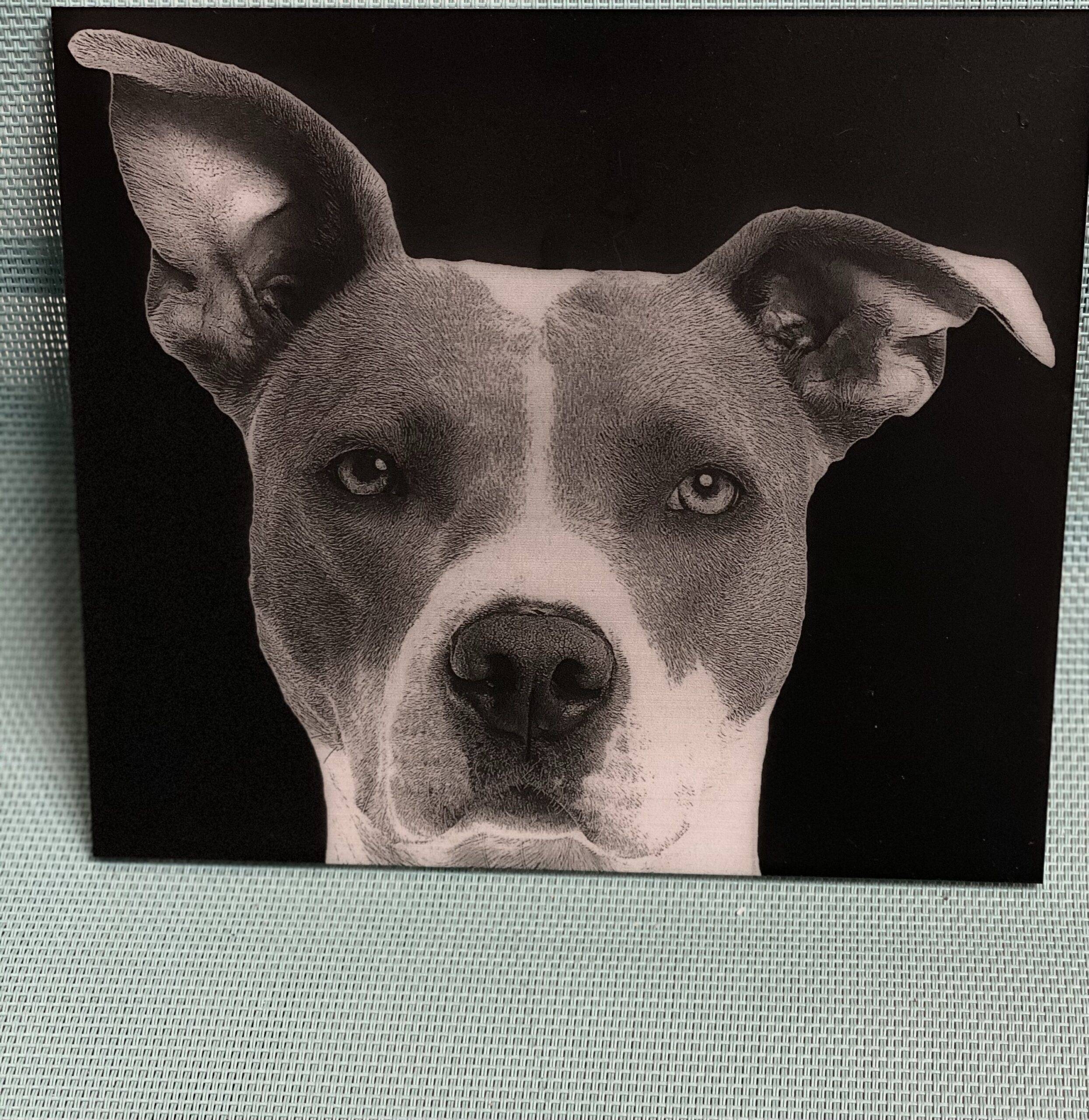 img_6865 – Infinite Laser